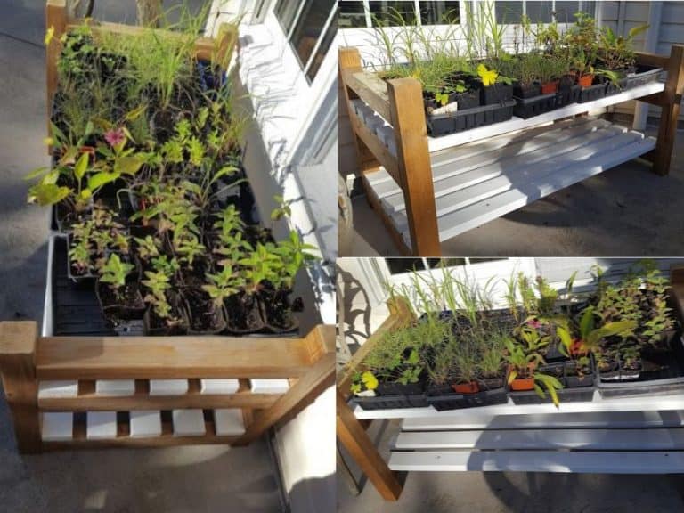 How To Make Micro Prairie – GrowIt BuildIT