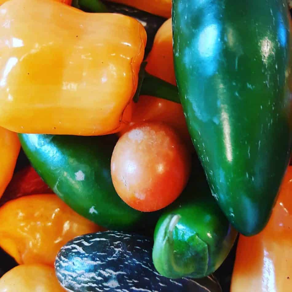 How to remove heat from Peppers (Guide w/ pics) – GrowIt BuildIT