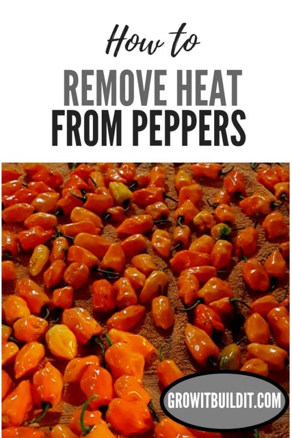How to remove heat from Peppers (Guide w/ pics) – GrowIt BuildIT