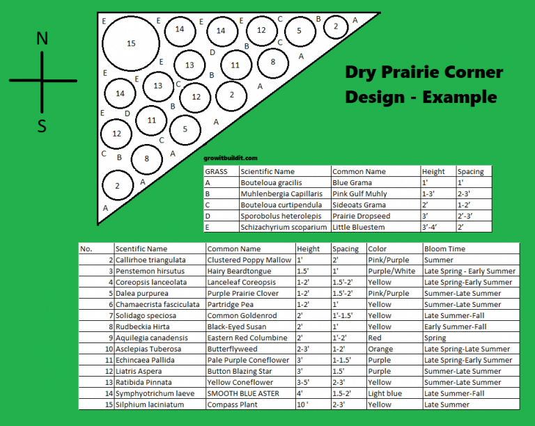 How To Make Micro Prairie – GrowIt BuildIT