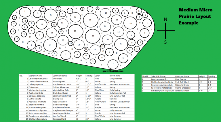 How To Start A Native Plant Garden From Scratch – GrowIt BuildIT
