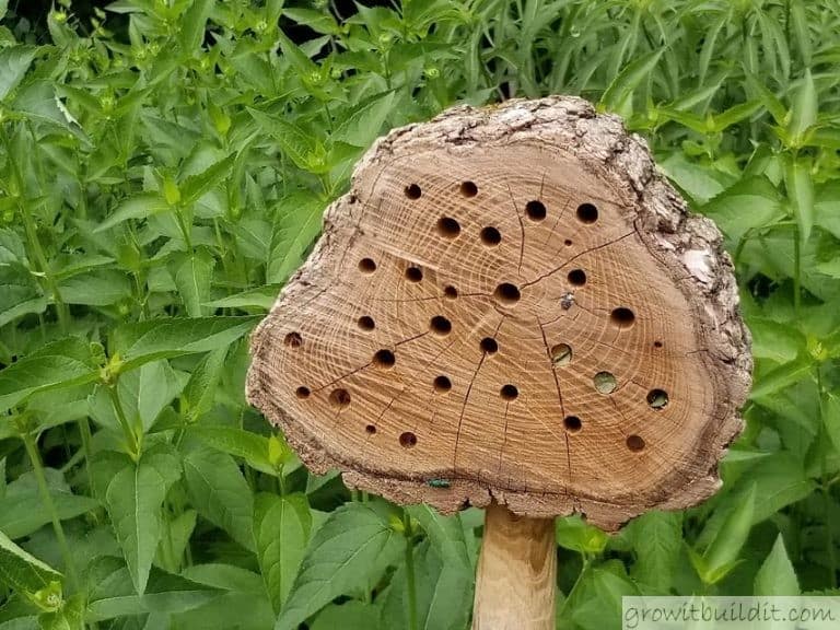 How to Build a Bee Hotel (Guide with Pictures) – GrowIt BuildIT