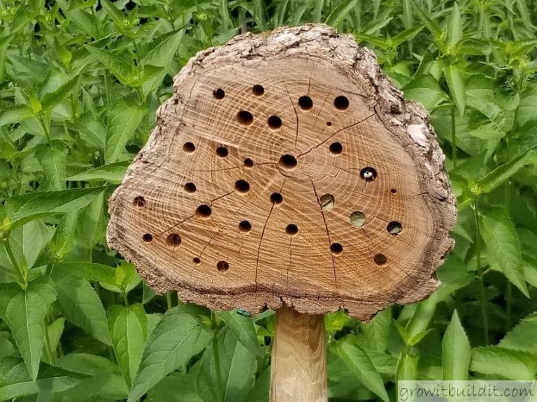 How to Build a Bee Hotel (Guide with Pictures) – GrowIt BuildIT
