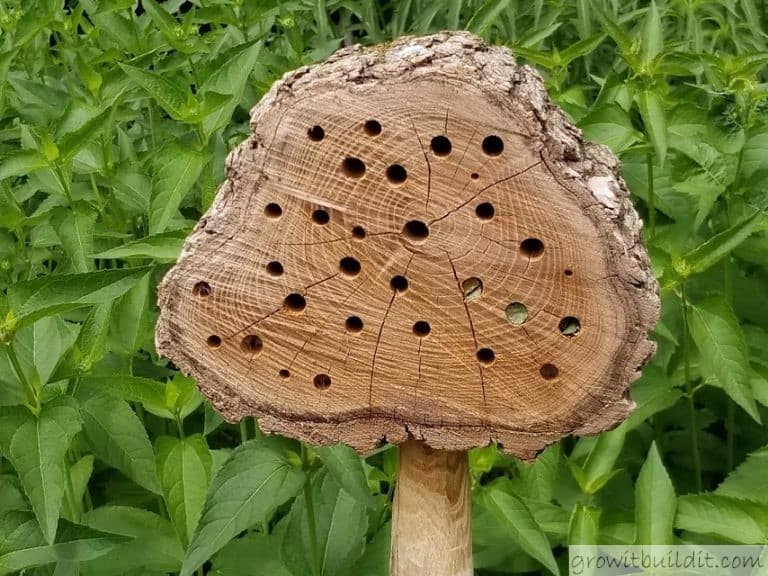 How to Build a Bee Hotel (Guide with Pictures) – GrowIt BuildIT