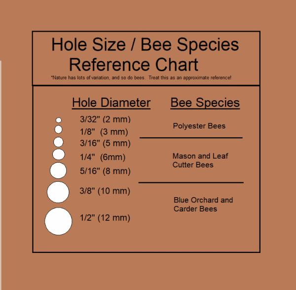 How to Build a Bee Hotel (Guide with Pictures) – GrowIt BuildIT