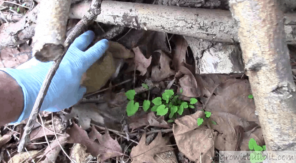 Homemade DIY Tick Tubes – an Illustrated Guide – GrowIt BuildIT