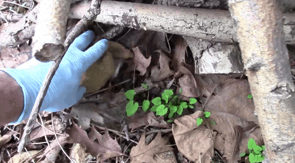 Homemade DIY Tick Tubes – an Illustrated Guide – GrowIt BuildIT