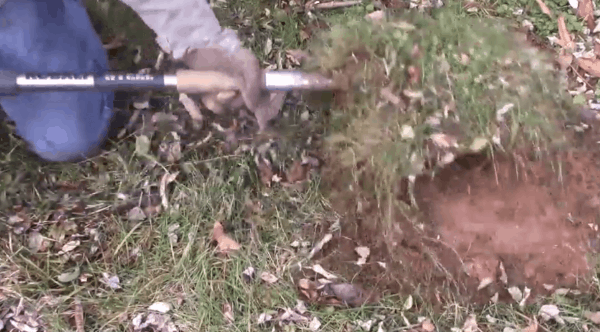 Illustrated guide how to remove grass / clear sod for a garden by hand ...