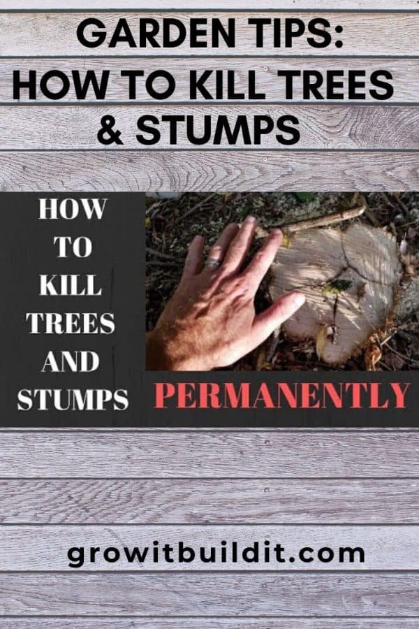 Kill Tree Stumps Permanently – Easy & Effective – GrowIt BuildIT