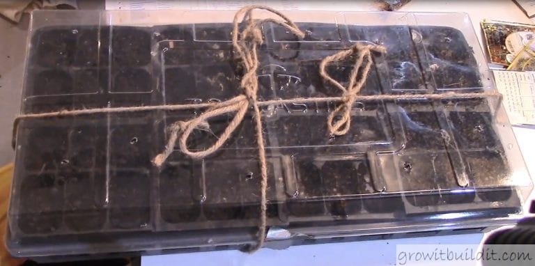 How to Stratify Seeds, An Illustrated Guide – GrowIt BuildIT