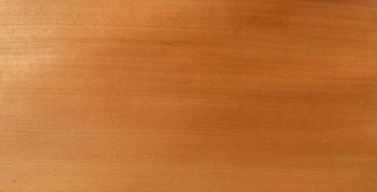 Sweet Gum Tree Uses – GrowIt BuildIT