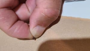 How To Scarify Seeds (Scarification) – Guide w/ Pictures – GrowIt BuildIT