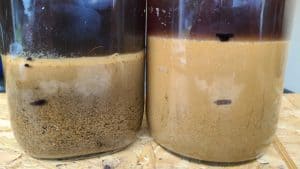 Testing Soil Texture – The Mason Jar Test – GrowIt BuildIT