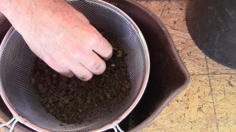Testing Soil Texture – The Mason Jar Test – GrowIt BuildIT