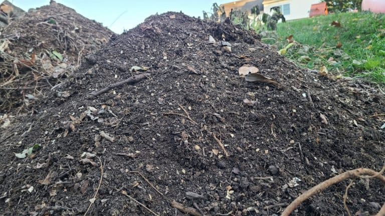 Top Dress Your Lawn With Compost For Big Soil Improvements – GrowIt BuildIT