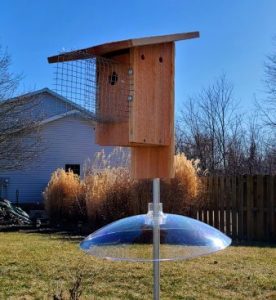 Bluebird Houses – A Complete Guide To Selecting & Installing – GrowIt ...