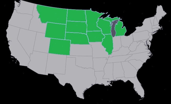 A Beginner’s Guide To Anise Hyssop – GrowIt BuildIT