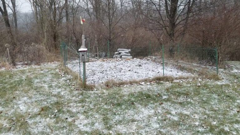 17 Winter Gardening Chores To Prepare For Next Season – GrowIt BuildIT