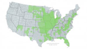 Whorled Milkweed 101 – Ultimate Grow and Care Guide – GrowIt BuildIT