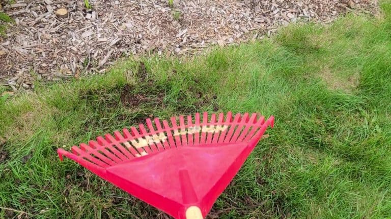 Top Dress Your Lawn With Compost For Big Soil Improvements – GrowIt BuildIT