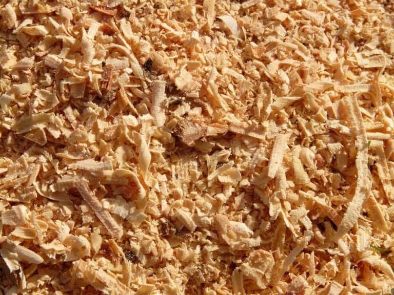 Composting Paper And Cardboard – What You Need To Know – GrowIt BuildIT