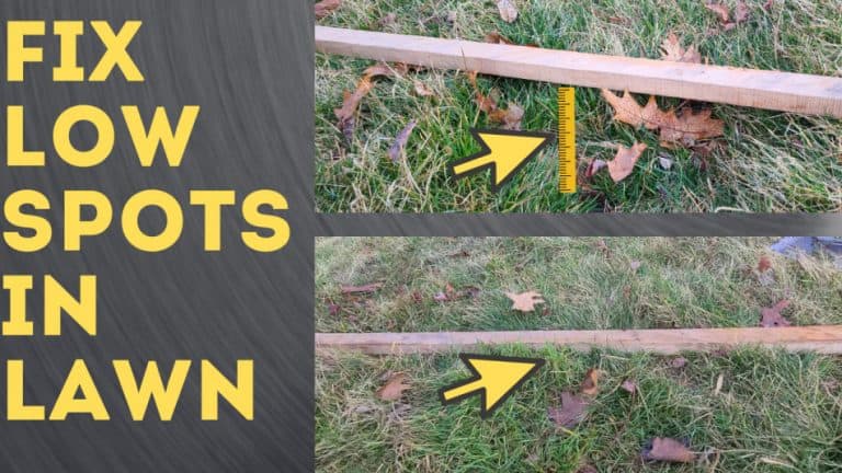 Fix Low Spots & Ruts In Your Lawn Quickly and Permanently – GrowIt BuildIT