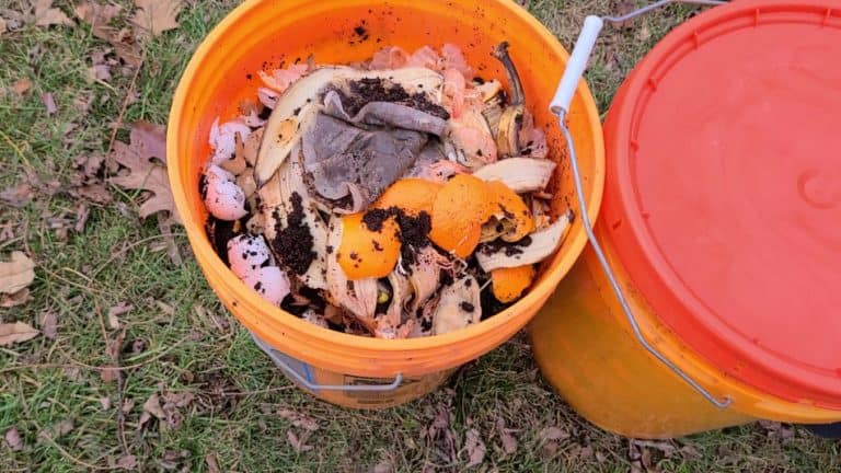 101 Things You Can Compost (printable) – GrowIt BuildIT