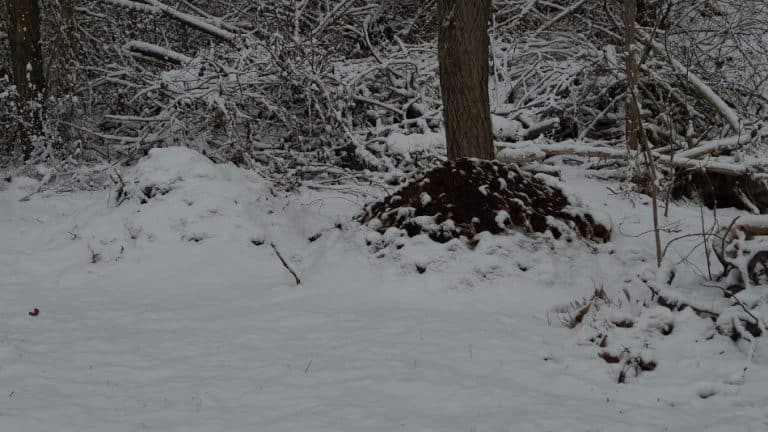 How To Hot Compost In Winter – A Complete Tutorial – GrowIt BuildIT