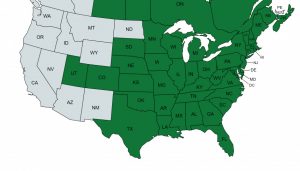 Virginia Creeper – A Guide To Parthenocissus Quinquefolia – GrowIt BuildIT