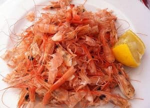 Yes! You Can Compost Shrimp Shells! – Find Why It’s Good! – GrowIt BuildIT