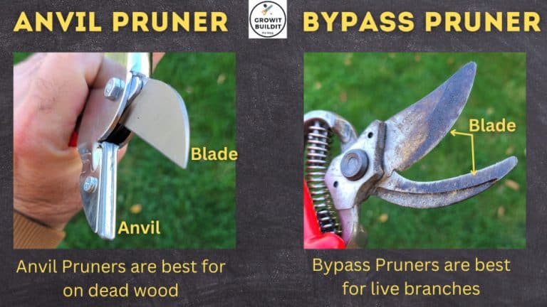 The Ultimate Guide To Pruning Tools – GrowIt BuildIT