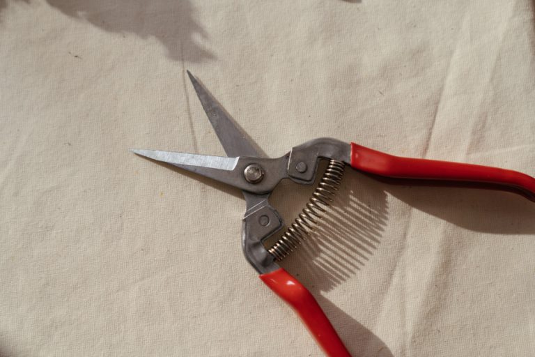 The Ultimate Guide To Pruning Tools – GrowIt BuildIT