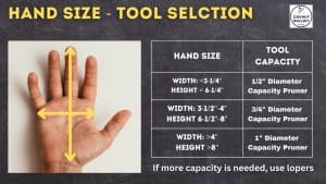 The Ultimate Guide To Pruning Tools – GrowIt BuildIT