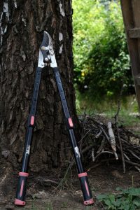 The Ultimate Guide To Pruning Tools – GrowIt BuildIT