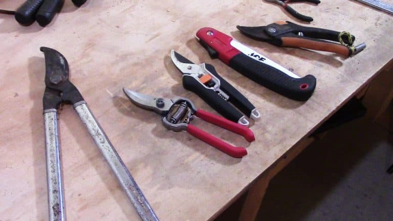 The Ultimate Guide To Pruning Tools – GrowIt BuildIT