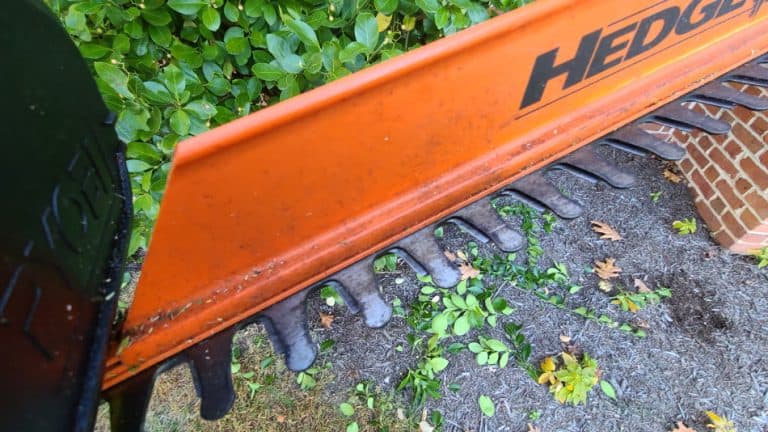 The Ultimate Guide To Pruning Tools – GrowIt BuildIT