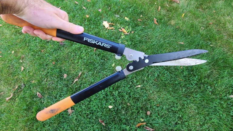 The Ultimate Guide To Pruning Tools – GrowIt BuildIT
