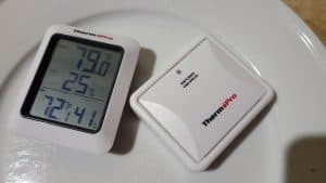 How To Grow Big Tomato Seedlings Quickly – GrowIt BuildIT