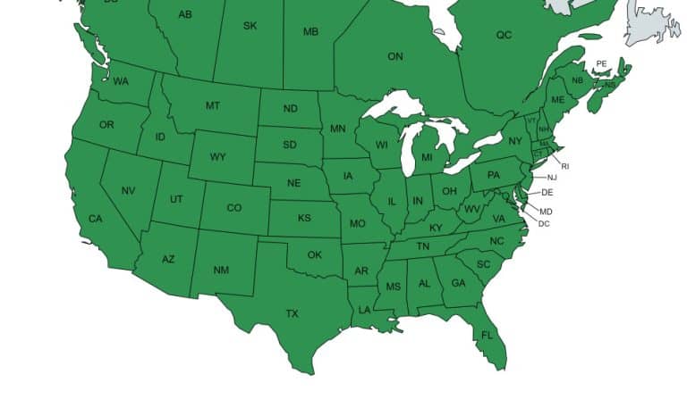 Yarrow – A Complete Grow & Care Guide (Achillea millefolium) – GrowIt ...