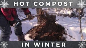 How To Hot Compost In Winter – A Complete Tutorial – GrowIt BuildIT
