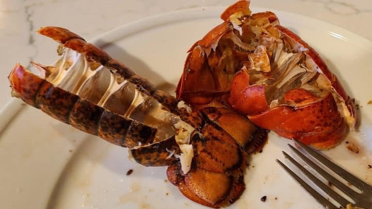 Yes! You Can Compost Shrimp Shells! – Find Why It’s Good! – GrowIt BuildIT