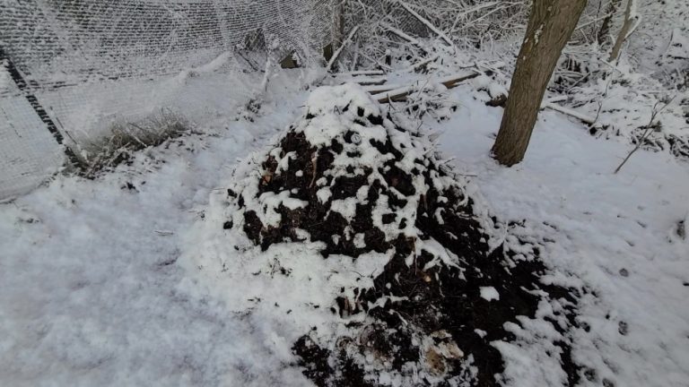 Can You Compost In Winter? – GrowIt BuildIT