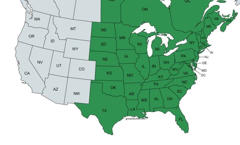 Common Boneset – An Amazing Native For Pollinators – GrowIt BuildIT