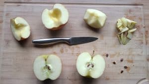 A Beginner’s Guide To Growing Apple Trees From Seed – GrowIt BuildIT