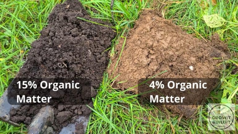 Case Study – 5 Year Garden Soil Transformation W/ Leaf Mulch – GrowIt ...